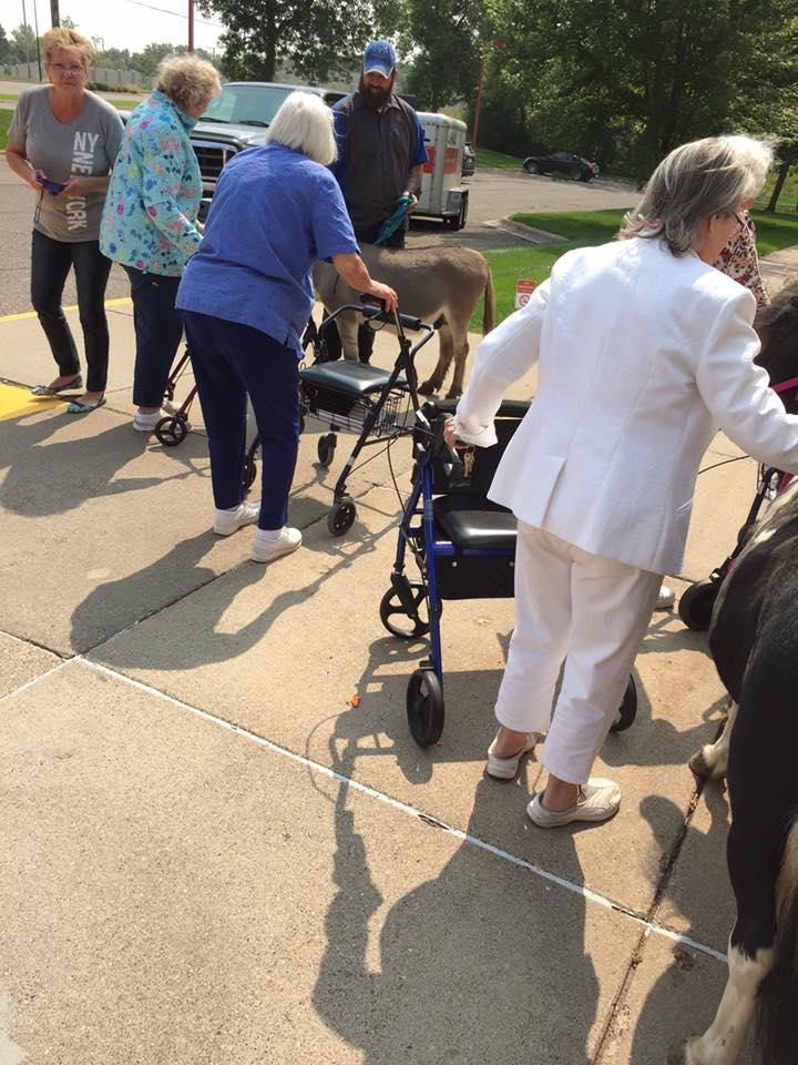 Donkeys Visit Oak Ridge Place – Oak Ridge Place