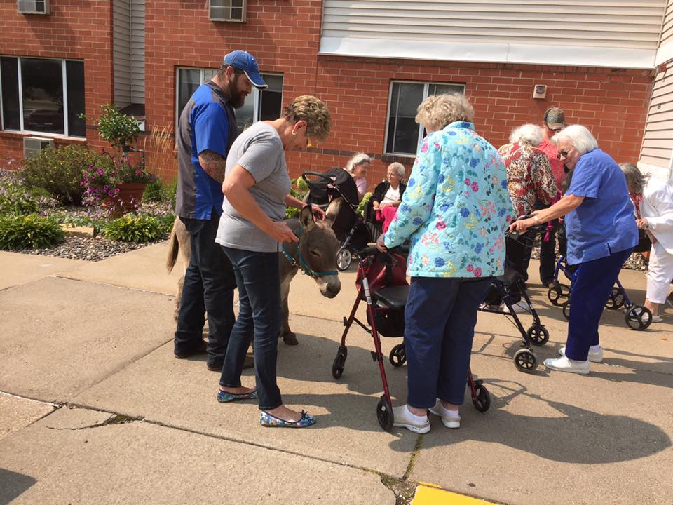 Donkeys Visit Oak Ridge Place – Oak Ridge Place