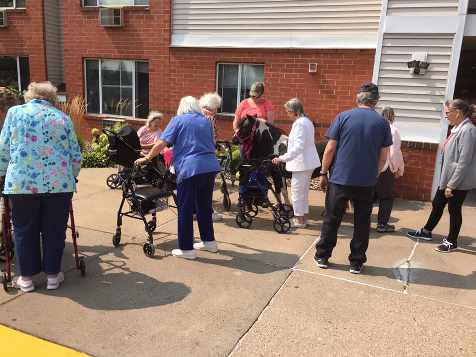 Donkeys Visit Oak Ridge Place – Oak Ridge Place